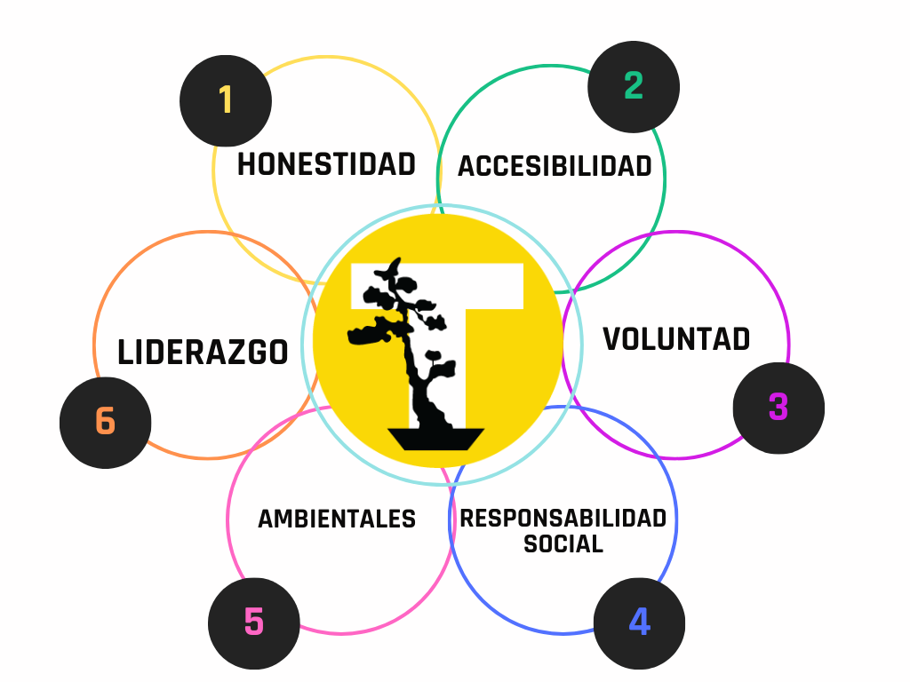 Los Valores de Telynet